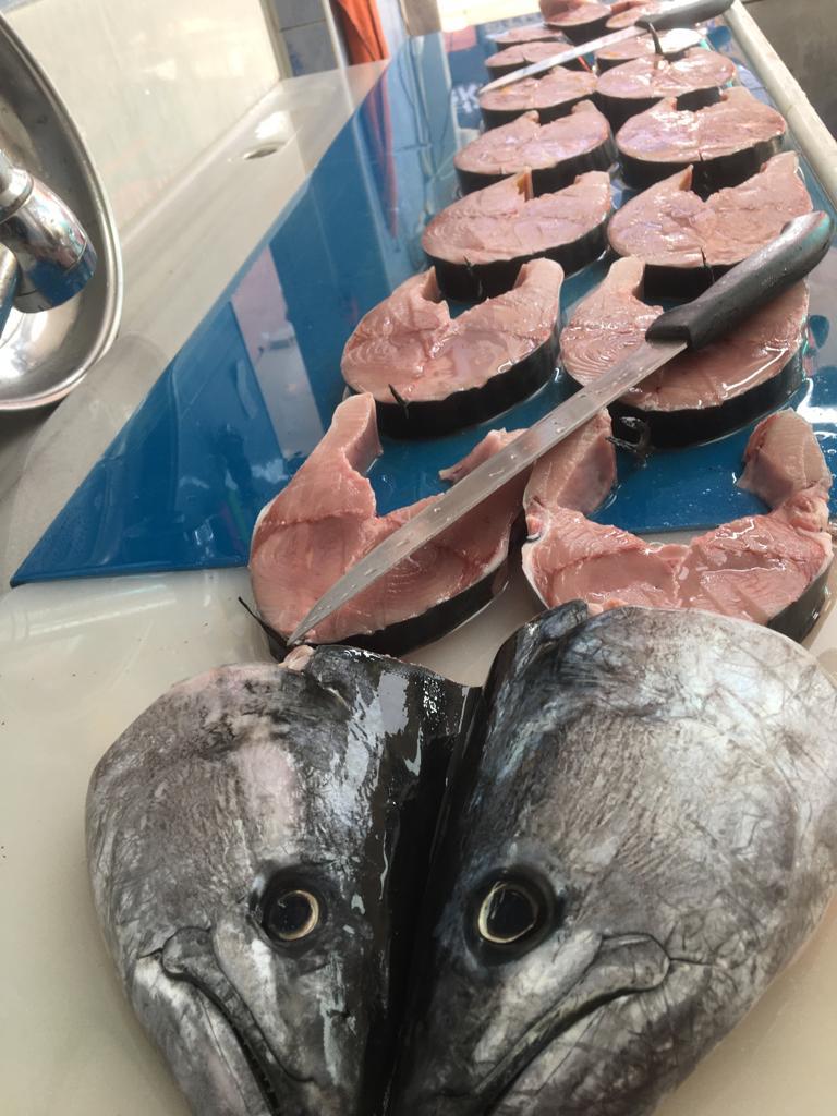 5 kilogramlık torik ağlarda! - GÜNCEL - BARTIN HALK GAZETESİ | BARTIN ...