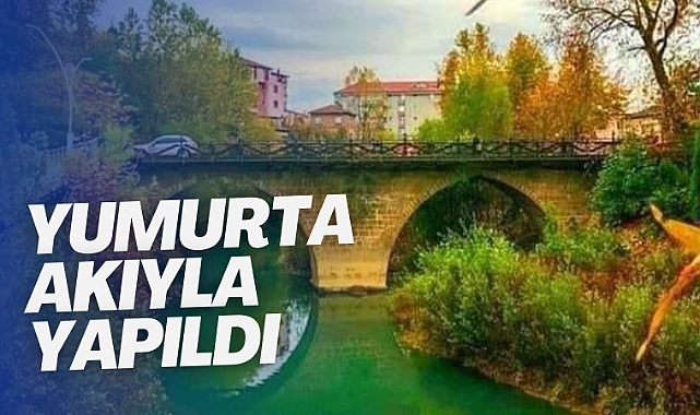 Yumurta akıyla yapıldı - YAŞAM - BARTIN HALK GAZETESİ | BARTIN HABER ...