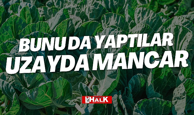 Uzayda mancar - TEKNOLOJİ - BARTIN HALK GAZETESİ | BARTIN HABER ...